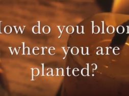 How Do You Bloom Where You Are Planted? | Christian Questions Bible Podcast
